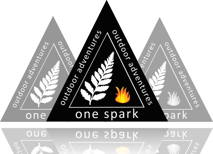 Trees – One Spark Outdoor Adventures